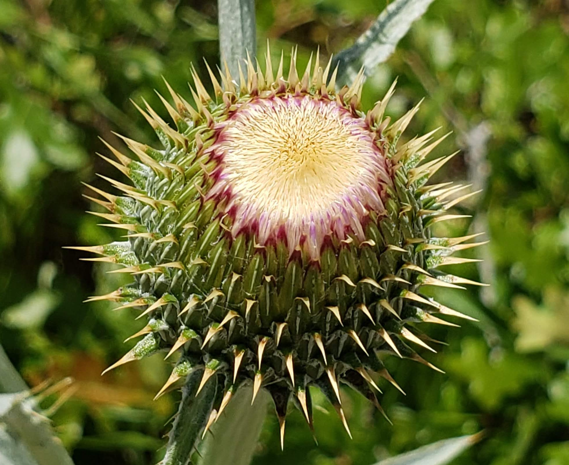 Therapy Services in Orem, Utah & Online Across Utah | Happy Valley ...